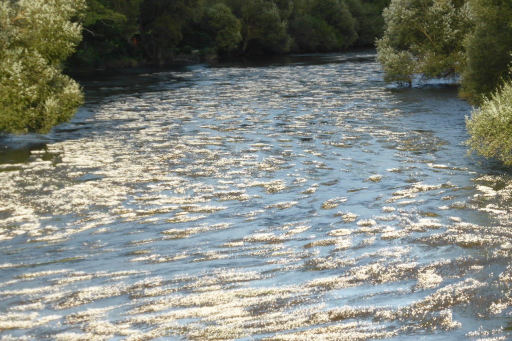 Die Eder blüht - edertal.de