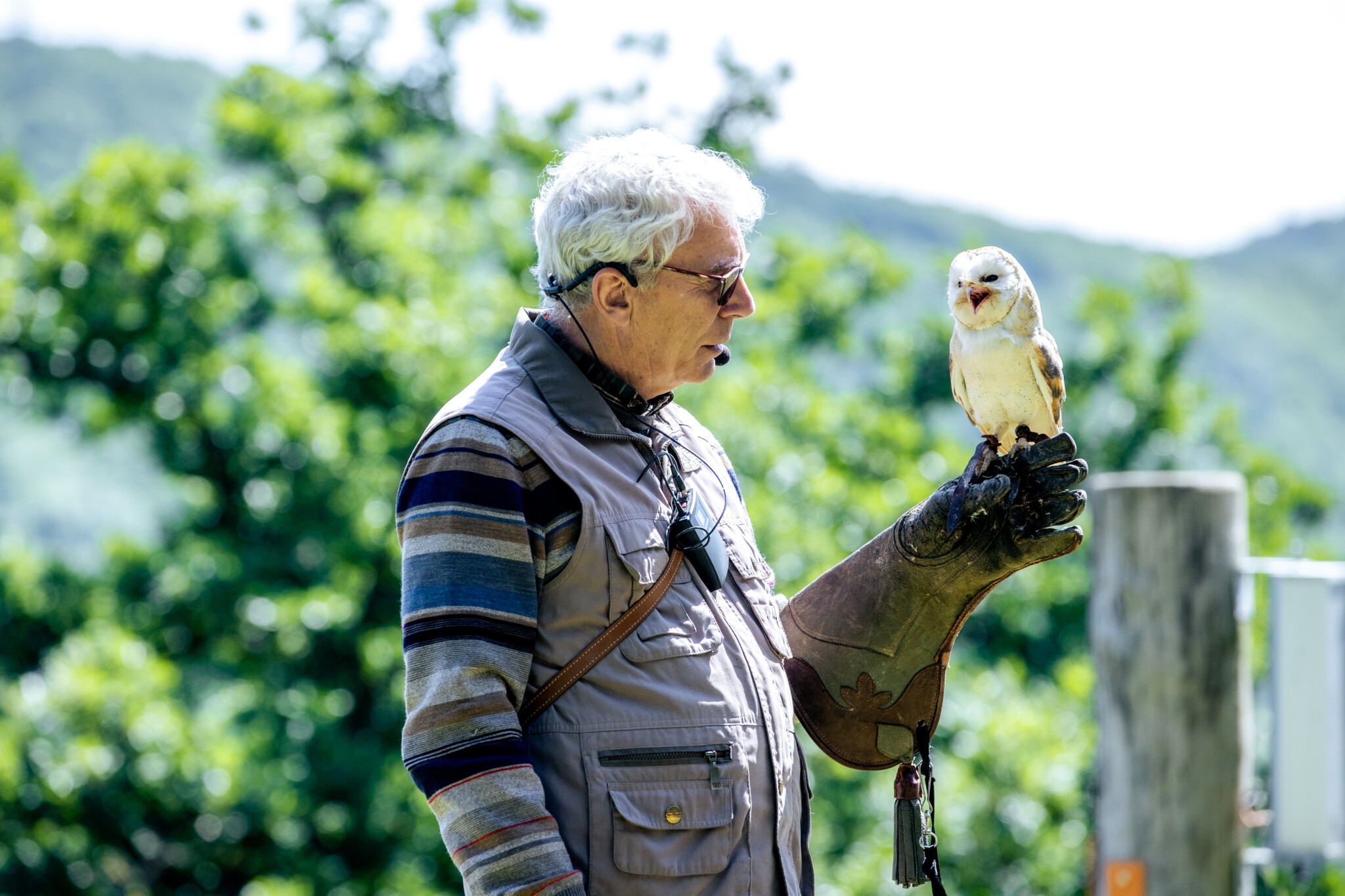 Saisonauftakt der Flugschau im WildtierPark Edersee - edertal.de